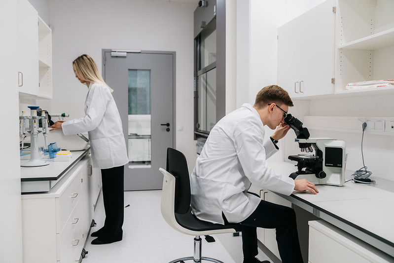 From Organoid Cultivation to Digital Solutions for Fighting Cancer: The ...